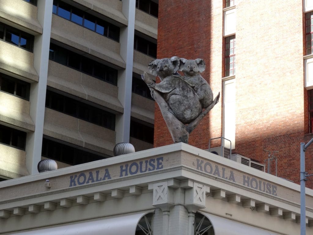 Katie Koala in progress!